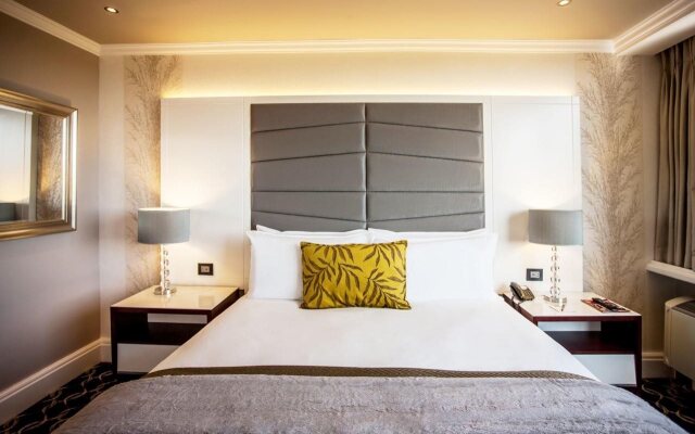 Riverside Sun 3* 在范德拜尔帕克 отзывы, цены и фото номеров - забронировать ...