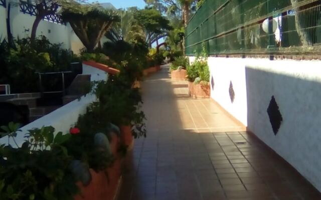 Aparthotel Parque Don Jose in Costa del Silencio reviews, oda ...