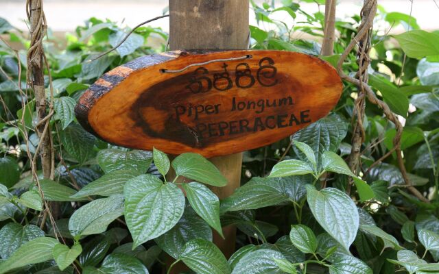 Pinthaliya Resort & Spa 4* в Сигирии отзывы, цены и фото номеров ...