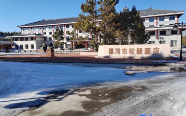 Mohe Songyi Hotel (Arctic Village) 4* in Beiji отзывы, цены и фото ...