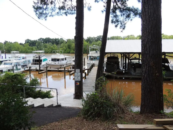 Cookie B - Chester, VA