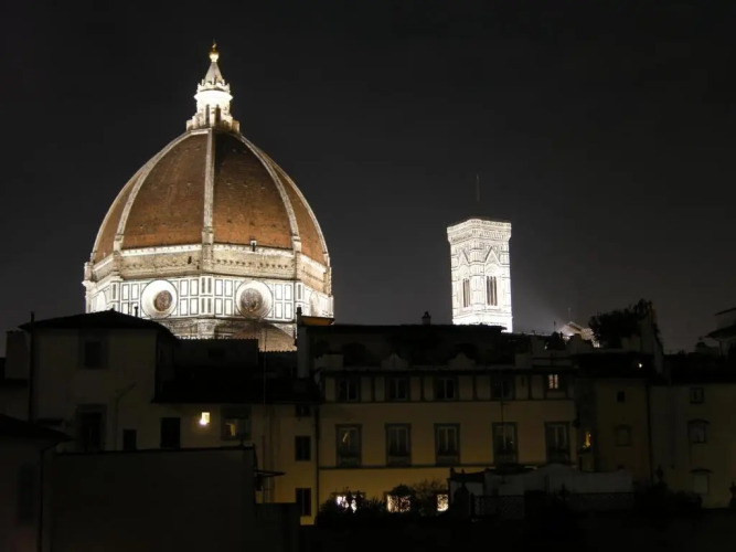 L'albero Di Garibaldi - Florence