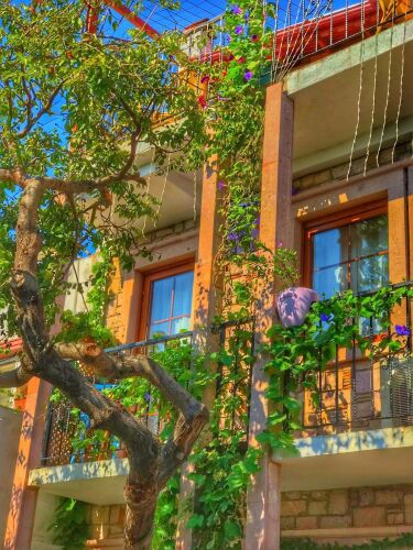 Cunda Thelara Otel - Ayvalık