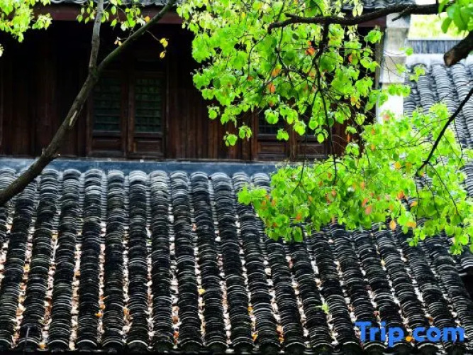 Shaoxing Jianhu·huanglong Cuili Resort Hotel - Shaoxing