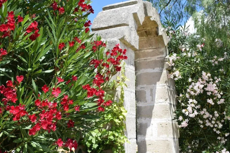 L'aia Di San Giorgio - Castro, Lecce, Italy