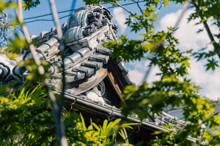 Loquat Nishiizu - Izu