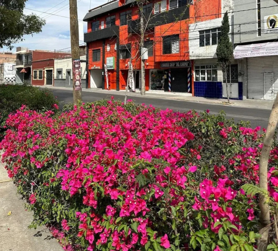 Hotel Posada Jardin Aguascalientes - Aguascalientes
