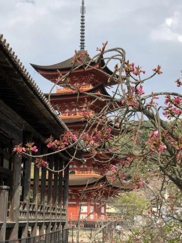 Traditional Machiya Hotel Shiomachi-an - 岩國市
