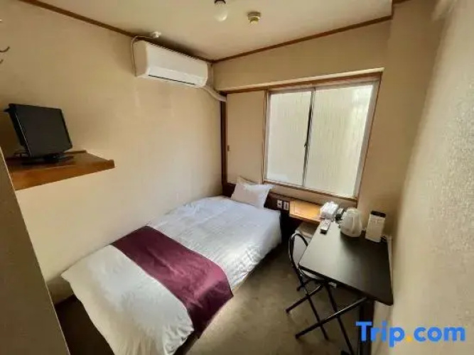 Ueda Plaza Hotel Tenjin - Ueda