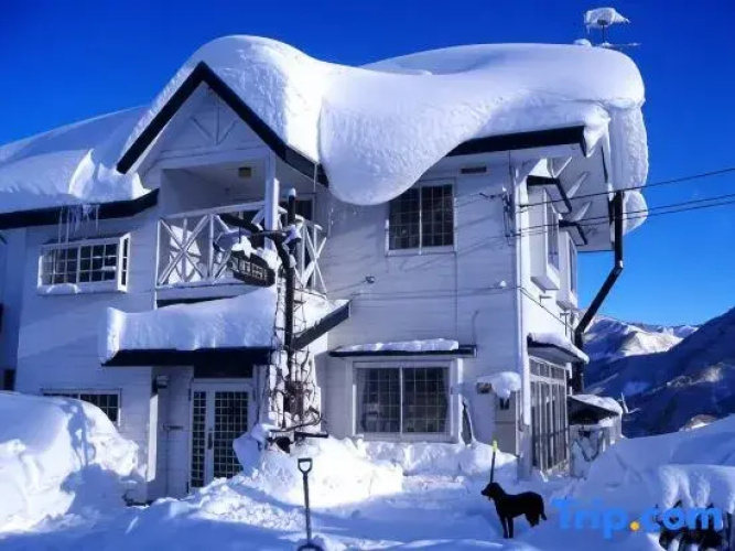 Pension Silver Fern - Itoigawa