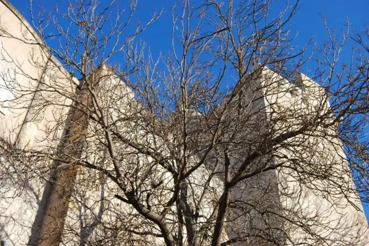 Suite Cagliari -97- - Cagliari