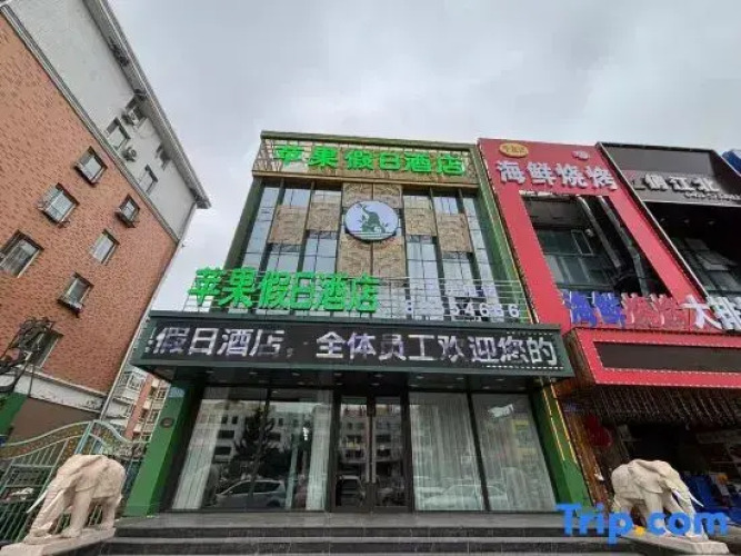 Pingguo Holiday Hostel (Harbin Jiangbei Wetland Park) - Harbin