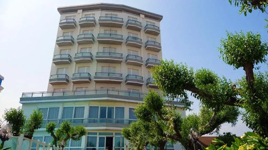 Gabbiano - Senigallia