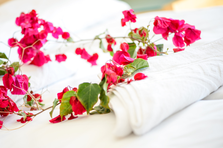 Exe Portals Nous - Majorka