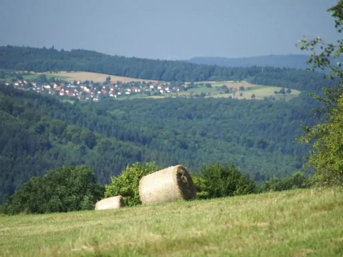 Detached, Tidy Bungalow On Katzenbuckel Mountain - Mosbach
