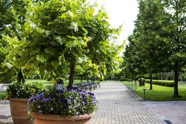 Relais Cascina Scottina - 피아첸차