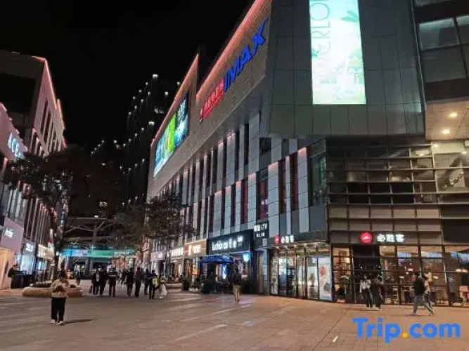 Shanghai Fuxiangju Homestay (Fengxian Baolong Plaza) - Shanghai