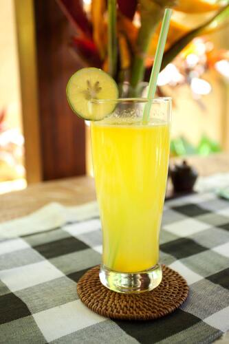 Segening Villa - Ubud