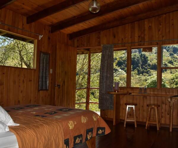 Toucanet Lodge - Copey District