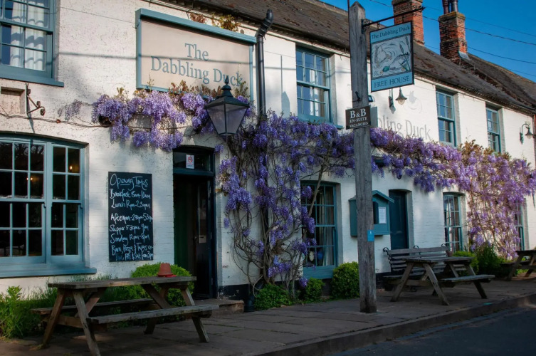 The Dabbling Duck - Norfolk