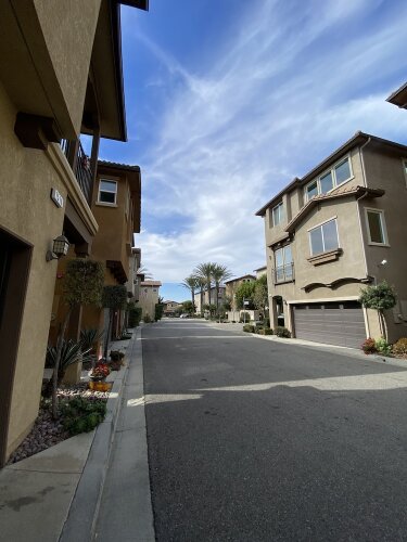 Olive Glen -