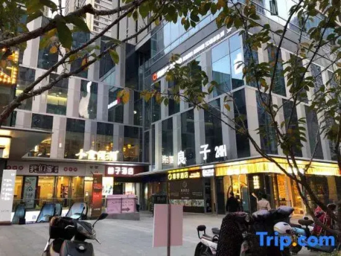 Baoli International Apartment (Hefei Swan Lake Branch) - Hefei