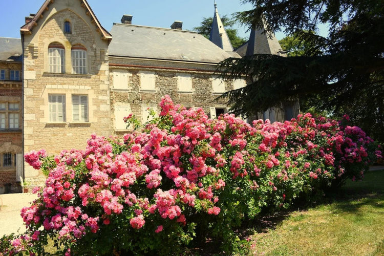 Château De Varambon - Pont-d'Ain