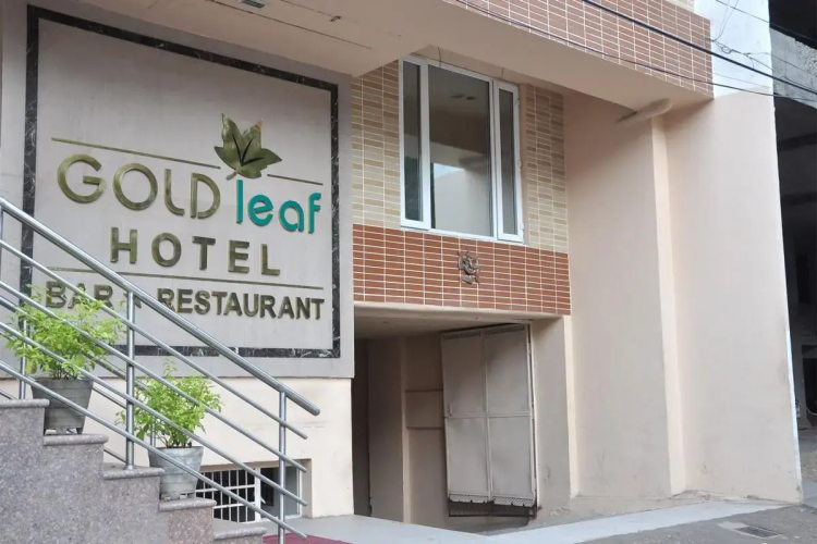 Gold Leaf Hotel - Udaipur