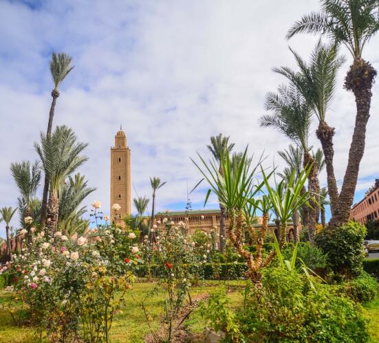 Riad With Outdoor Swimming Pools - Marrakech
