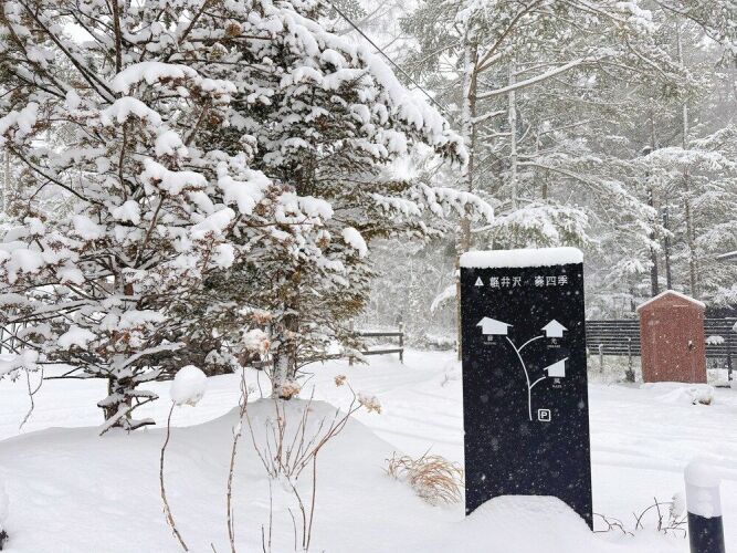 Karuizawa Forest Seasons - Karuizawa