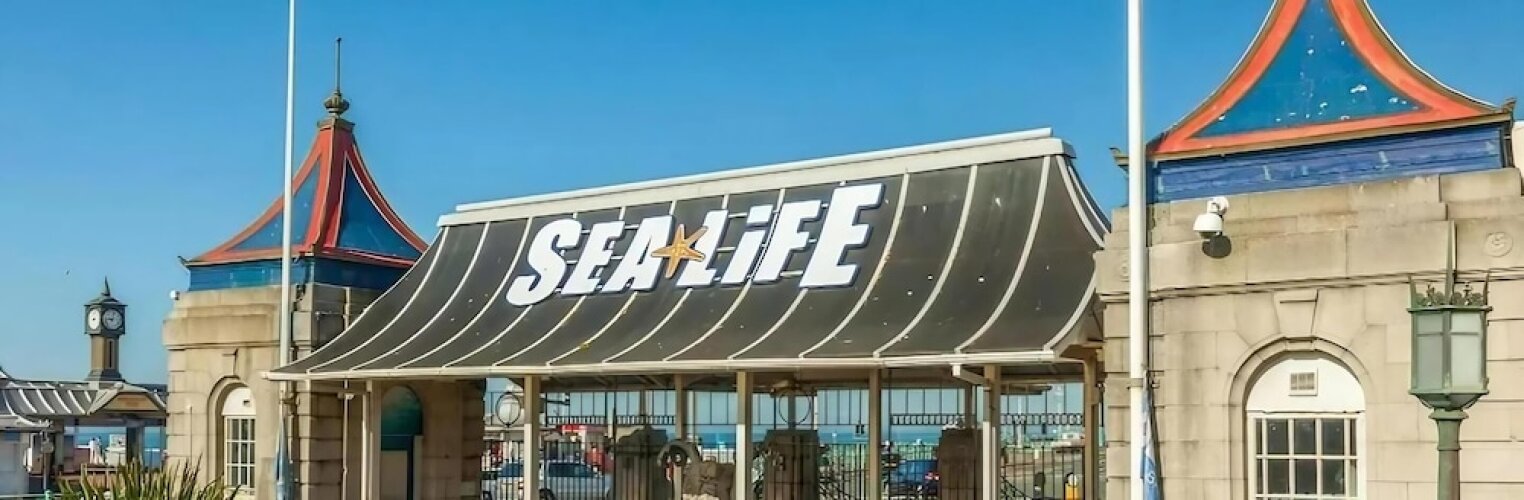 Avalon Guest House - East Sussex