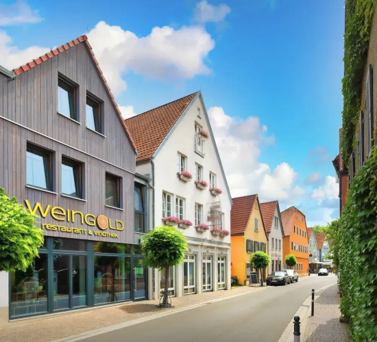 Hotel Müller Café & Wein . Mondholzhotel - Würzburg