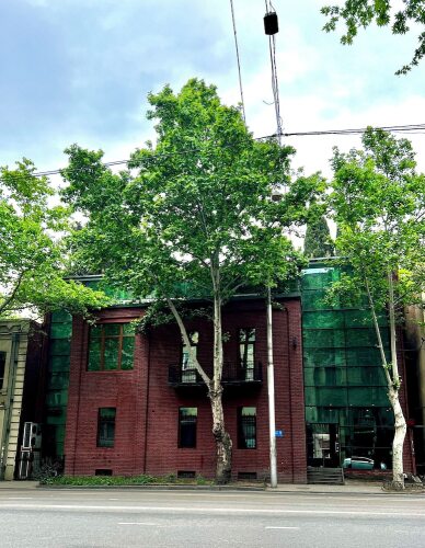 8 Queen Tamar Ave - Tbilisi