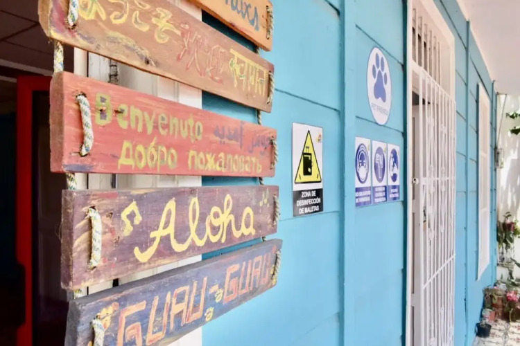 Mango Tree Hostel 4 20 - Cartagena