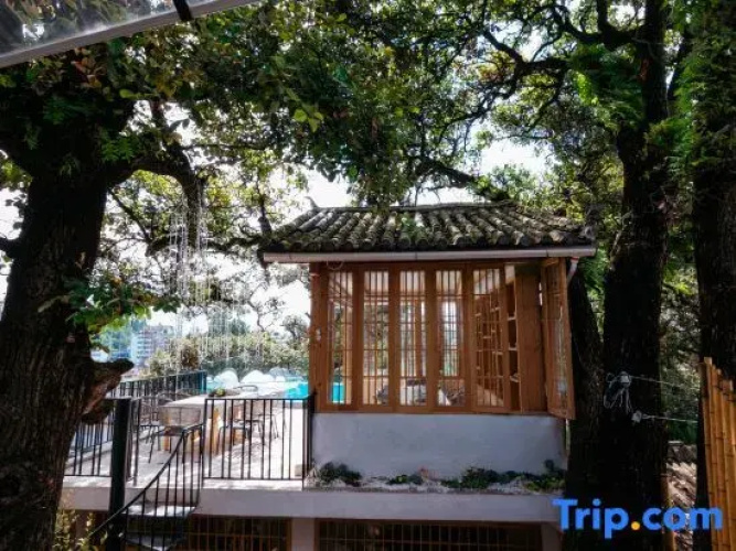Zaichuan Forest Hostel - Lijiang