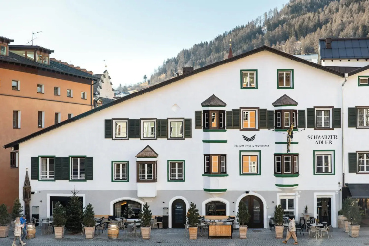 Schwarzer Adler Aquila Nera - Vipiteno
