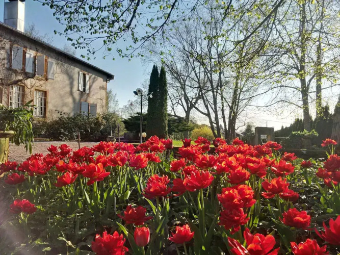 Chambres D'hôtes Le Prieuré - Vosges