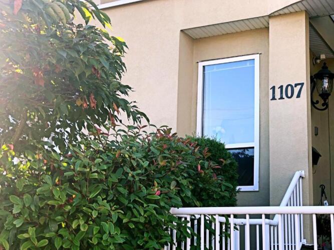 Star Of The Sea B&b -