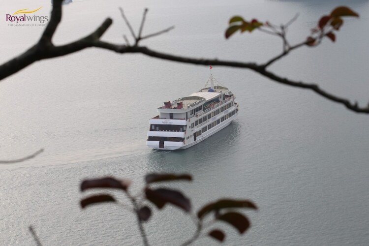 La Regina Royal Cruise - Quảng Yên
