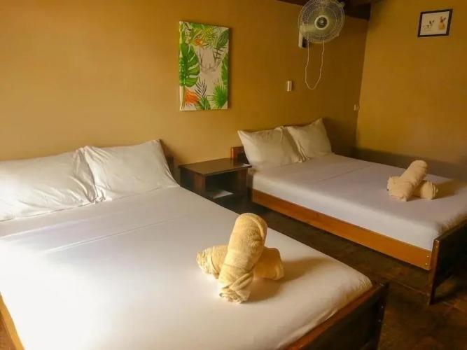 Nice Place Hostel - La Fortuna