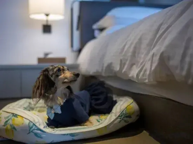 Volando  Resort Kenting - Kaohsiung City