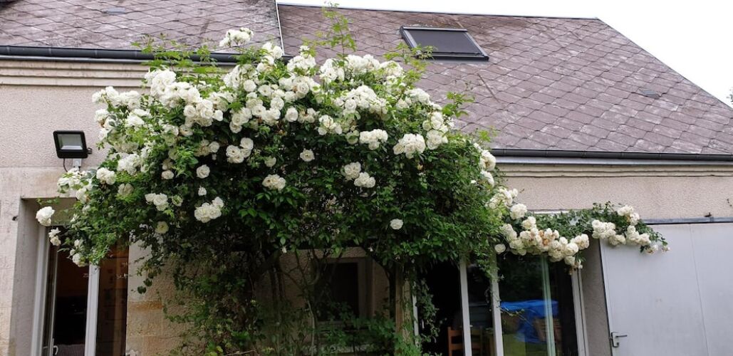 Coffret D'avenir - Orléans