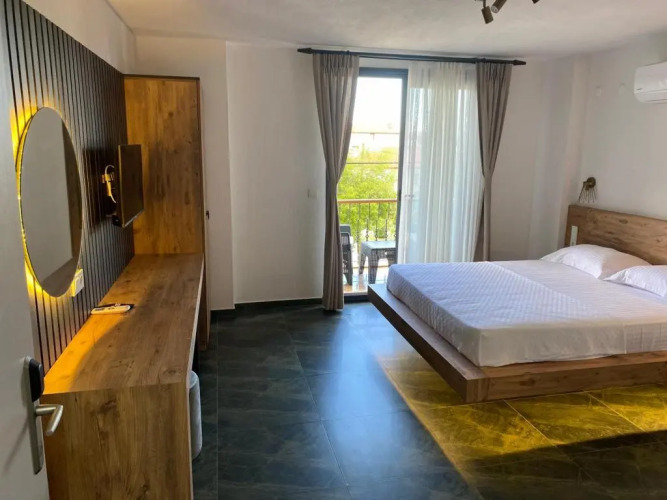 Olives Tree - Datça