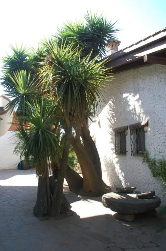 Sa Crannaccia - Solanas