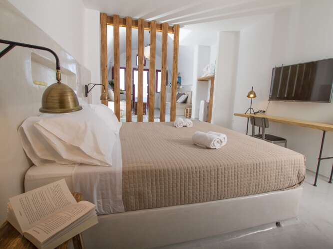 Hector Cave House - Oia