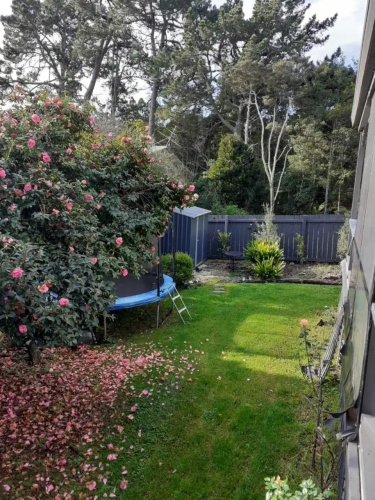 Kiwi Hosts - Auckland