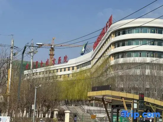 Shengjing Apartment (Shenbei Wuyue Plaza Huizhishangdao Branch) - Shenyang
