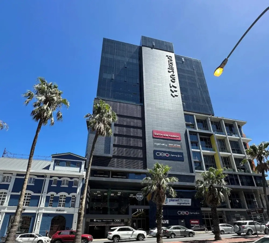 Urban Elephant The Rose - Cape Town