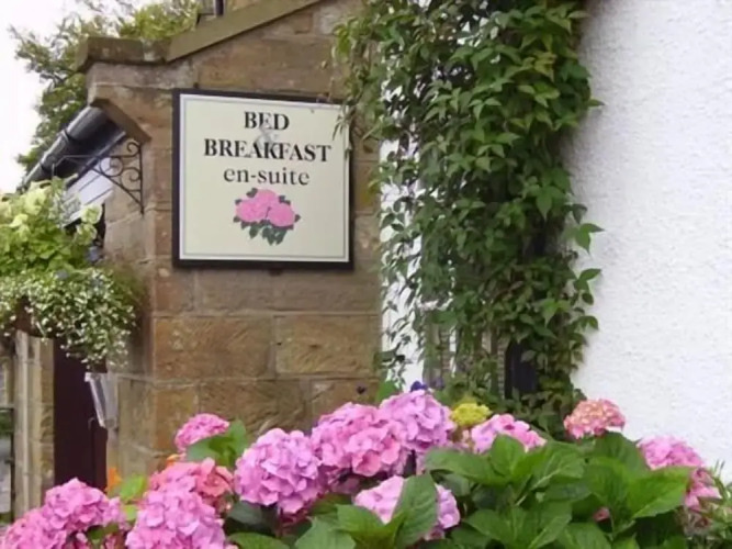 Thorpe Green House Vegetarian Bed And Breakfast - Robin Hood's Bay