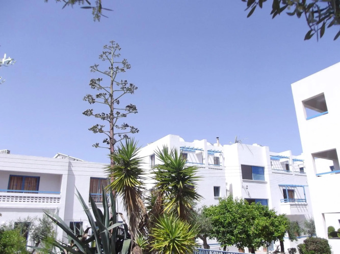 Kefalonitis Apartments - Paphos